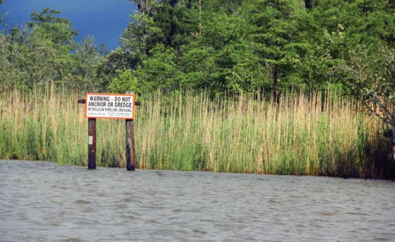 Alabama Delta Alliance Highlights Mobile-Tensaw River Delta Resource ...